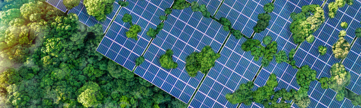 Solar Energy’s Explosive Growth Is Surprising Everyone