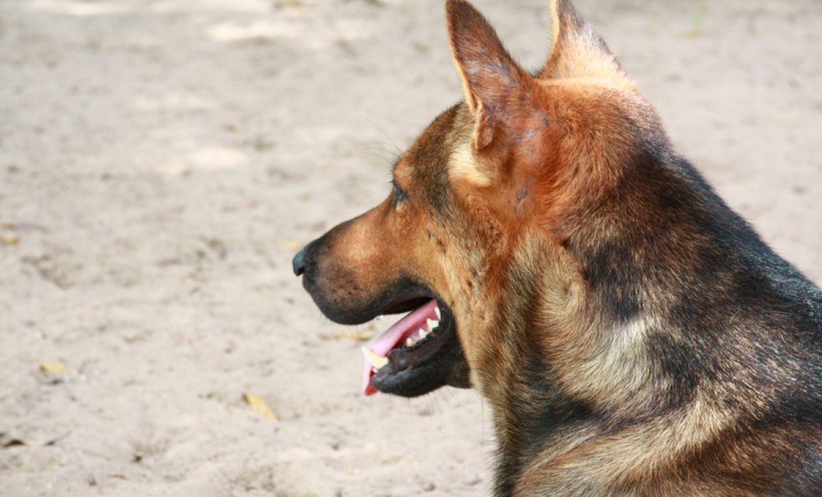 PCB Design Tips: Should You Include an External or Internal Watchdog ...